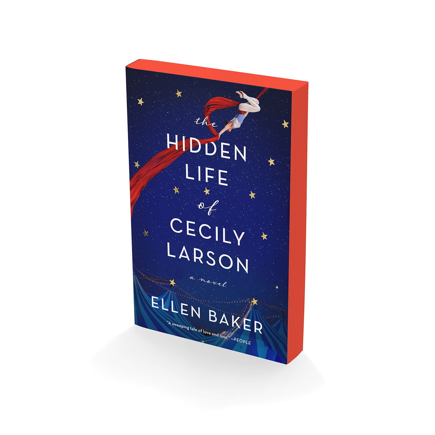 The Hidden Life of Cecily Larson by Ellen Baker, Paperback - Samsclub.com