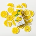 True Lemon Crystallized Lemon Packets, 500 ct. - Samsclub.com