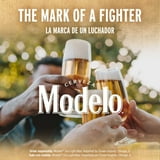Modelo Oro Mexican Light Lager Beer, 12 fl. oz. bottle, 12 pk ...