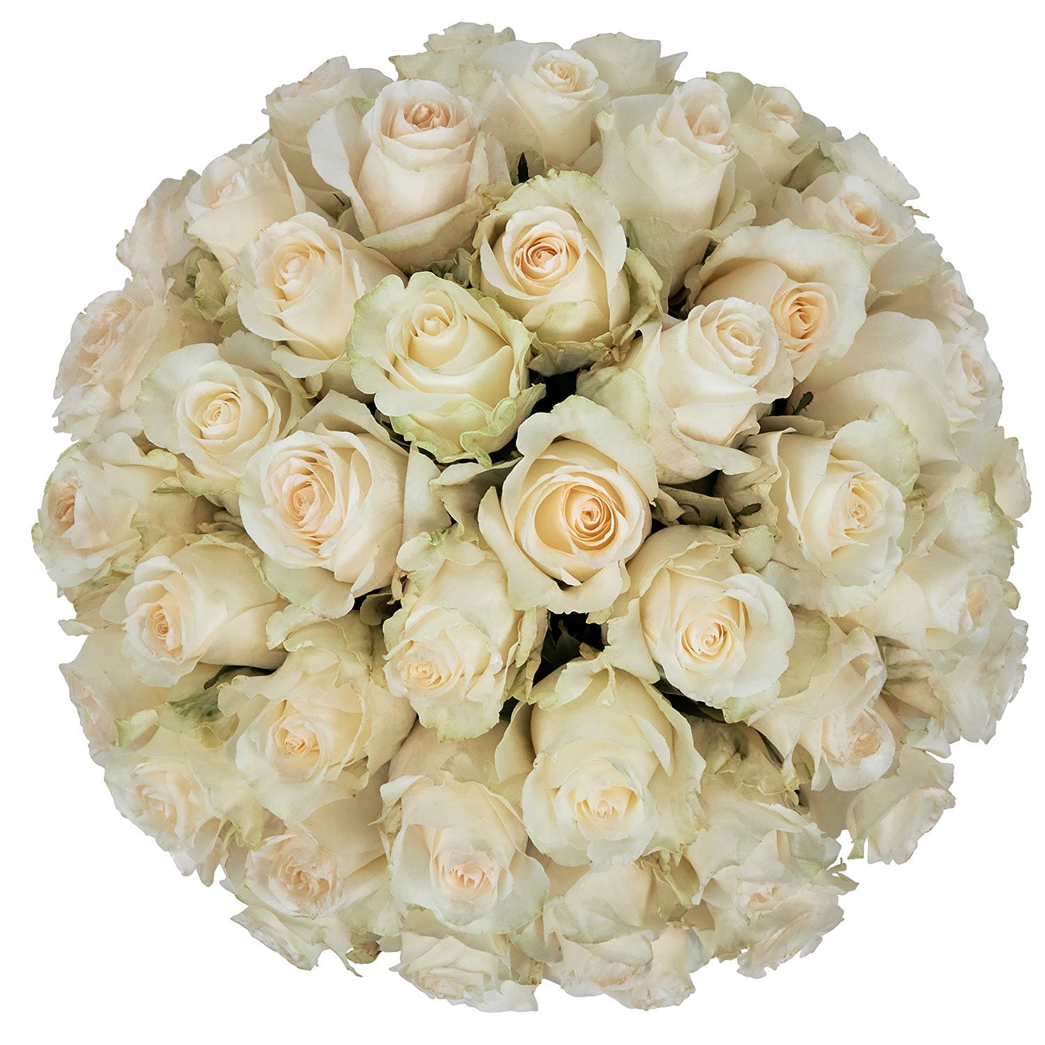 Member's Mark Roses, choose color variety and stem count - Samsclub.com