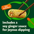 Bibigo Vegetable Spring Roll with Ginger Sauce, Frozen, 48 oz ...