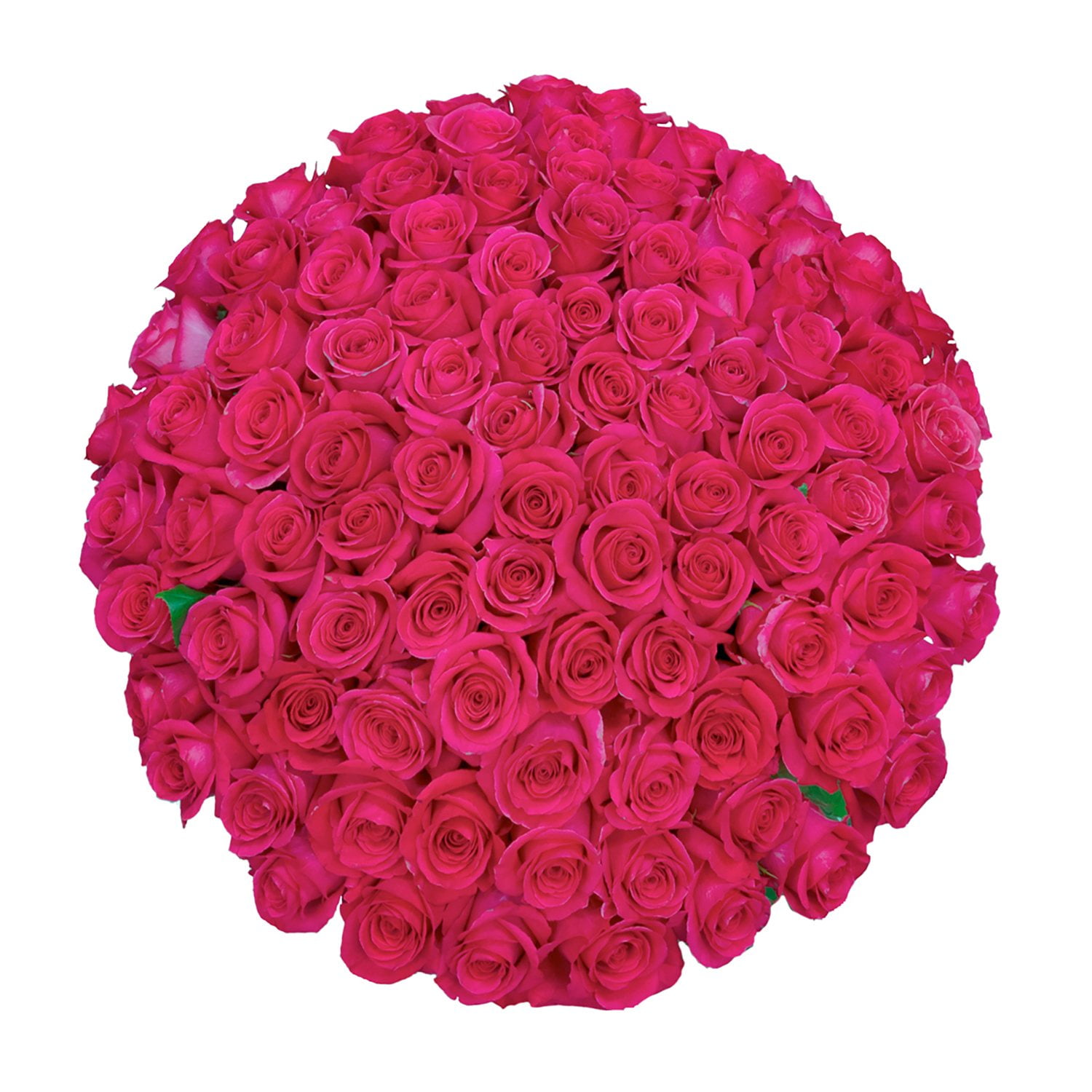 Member's Mark Farm Fresh Velvet Roses, choose color and stem count ...