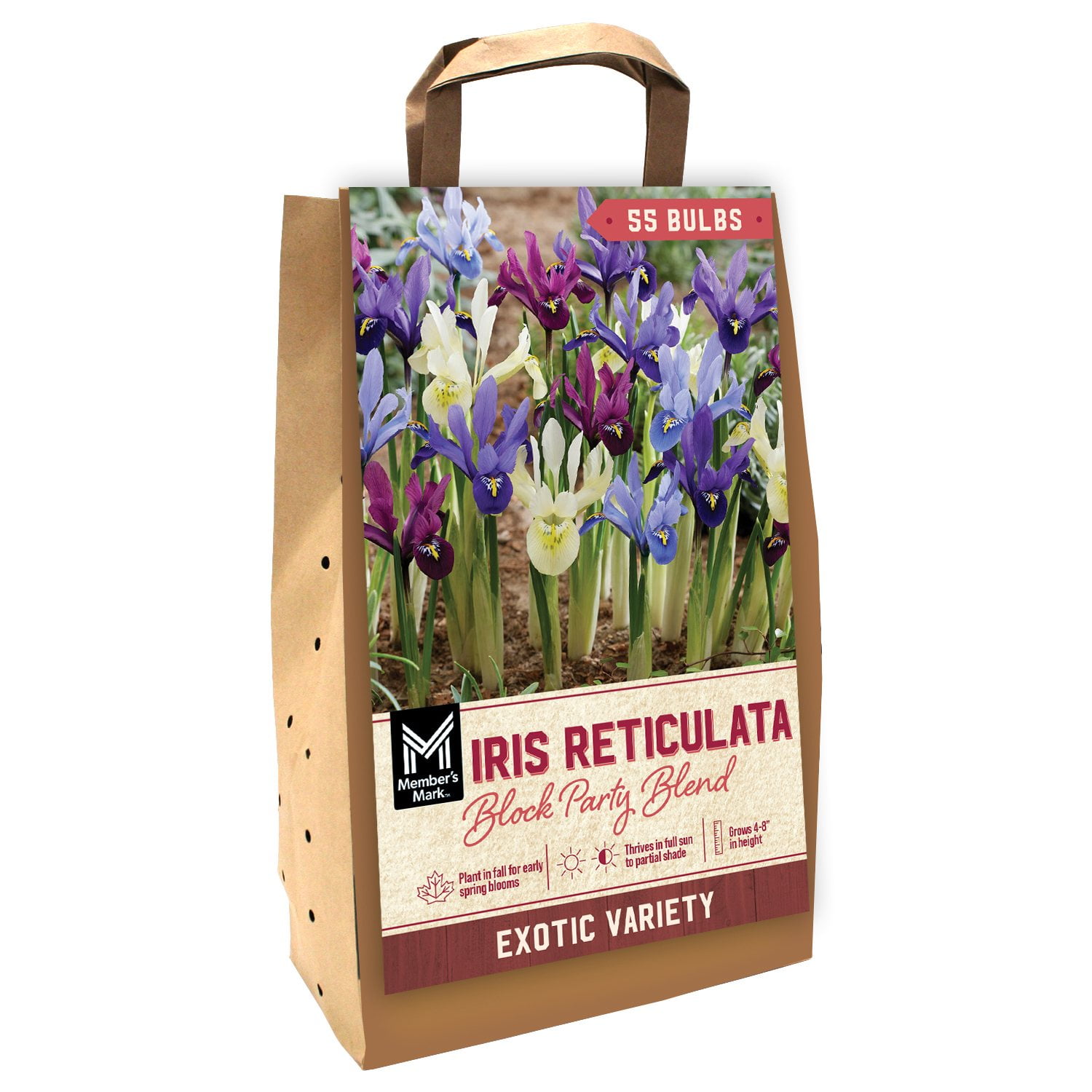 Member's Mark Iris Reticulata Block Party Blend Dormant Bulbs, 55pk ...