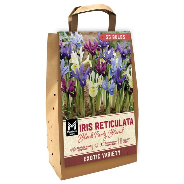 Member's Mark Iris Reticulata Block Party Blend Dormant Bulbs, 55pk ...