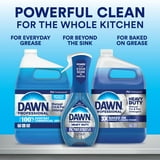 Dawn Professional Manual Pot and Pan Detergent Dish Soap 5 gal ...