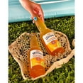 Corona Sunbrew Citrus Cervesa Lager Beer, 12 fl. oz. bottle, 12 pk ...