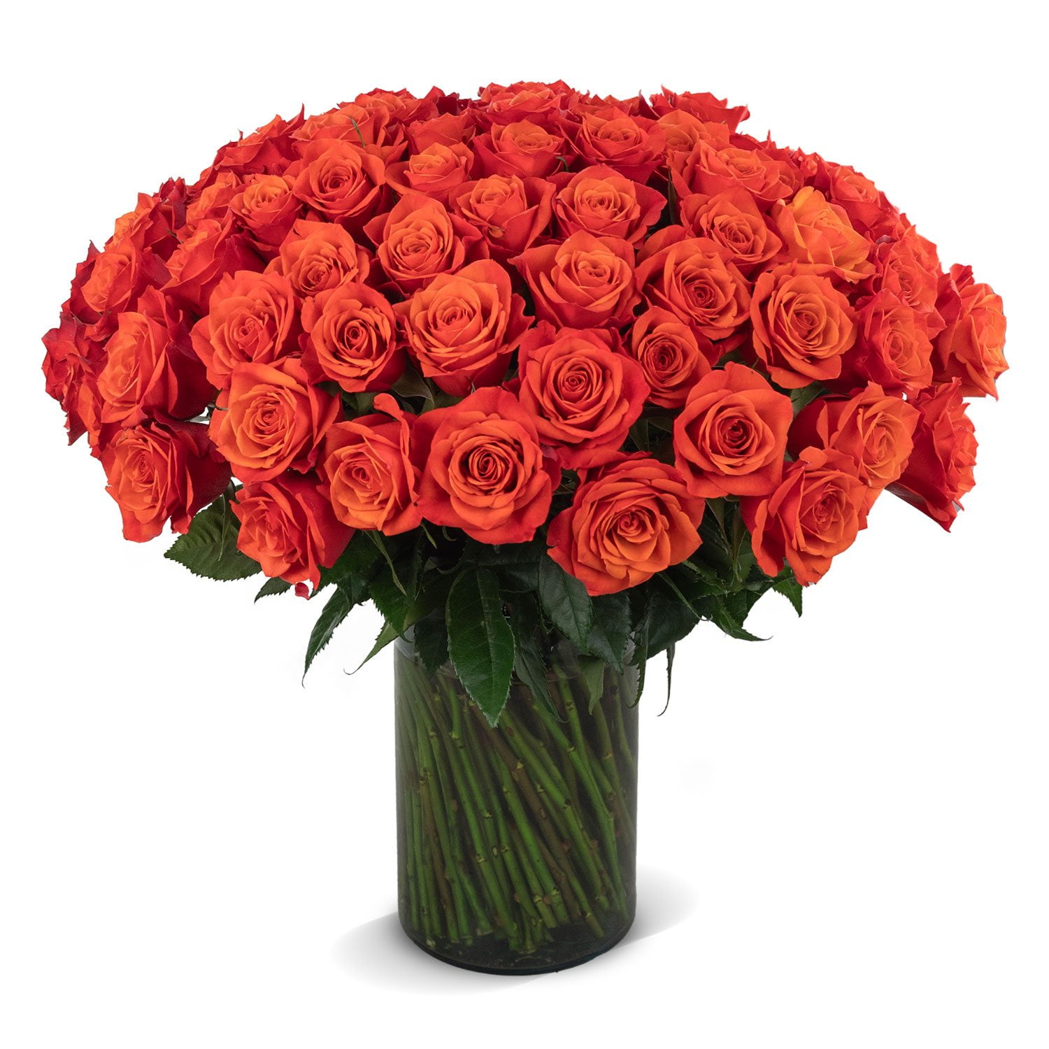 Member's Mark Rose Vase Arrangement, 100 stems, choose color - Samsclub.com