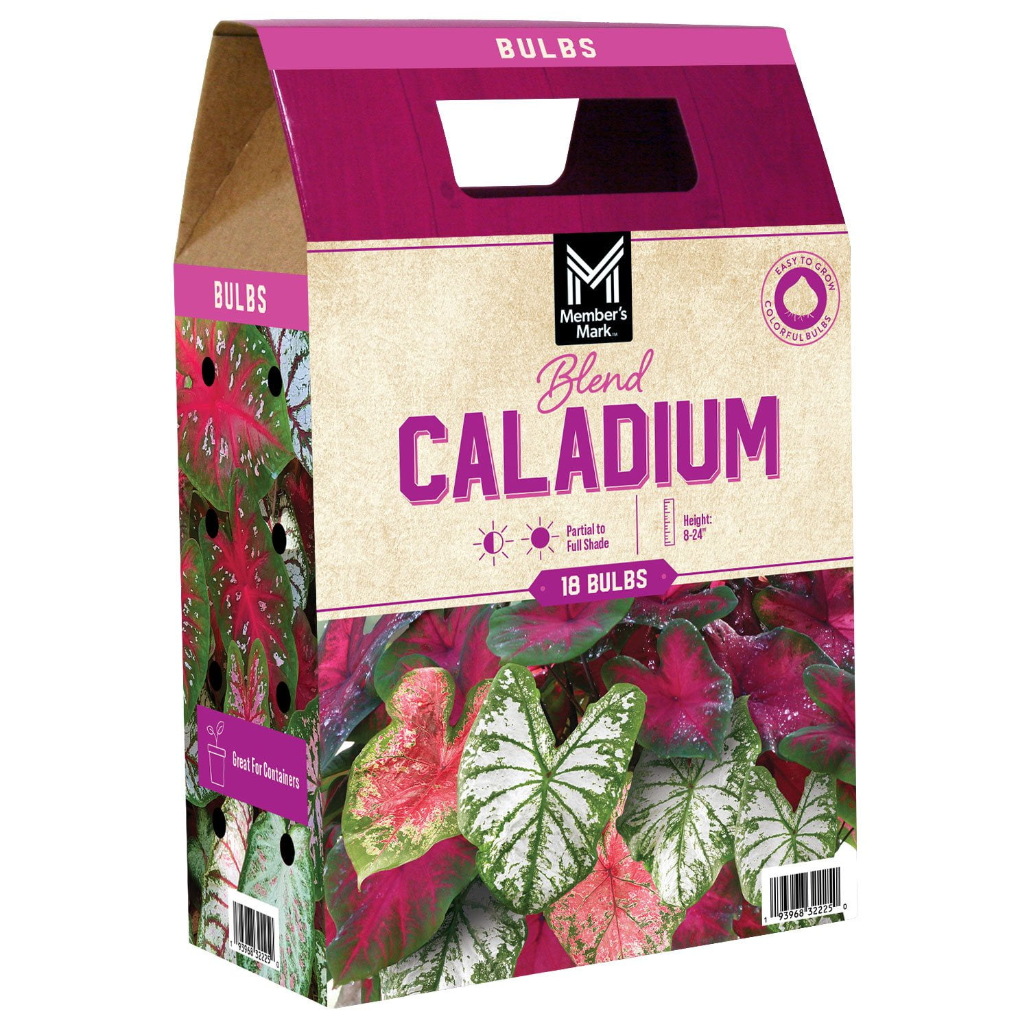 Member's Mark Caladium Blend Bulbs - Samsclub.com