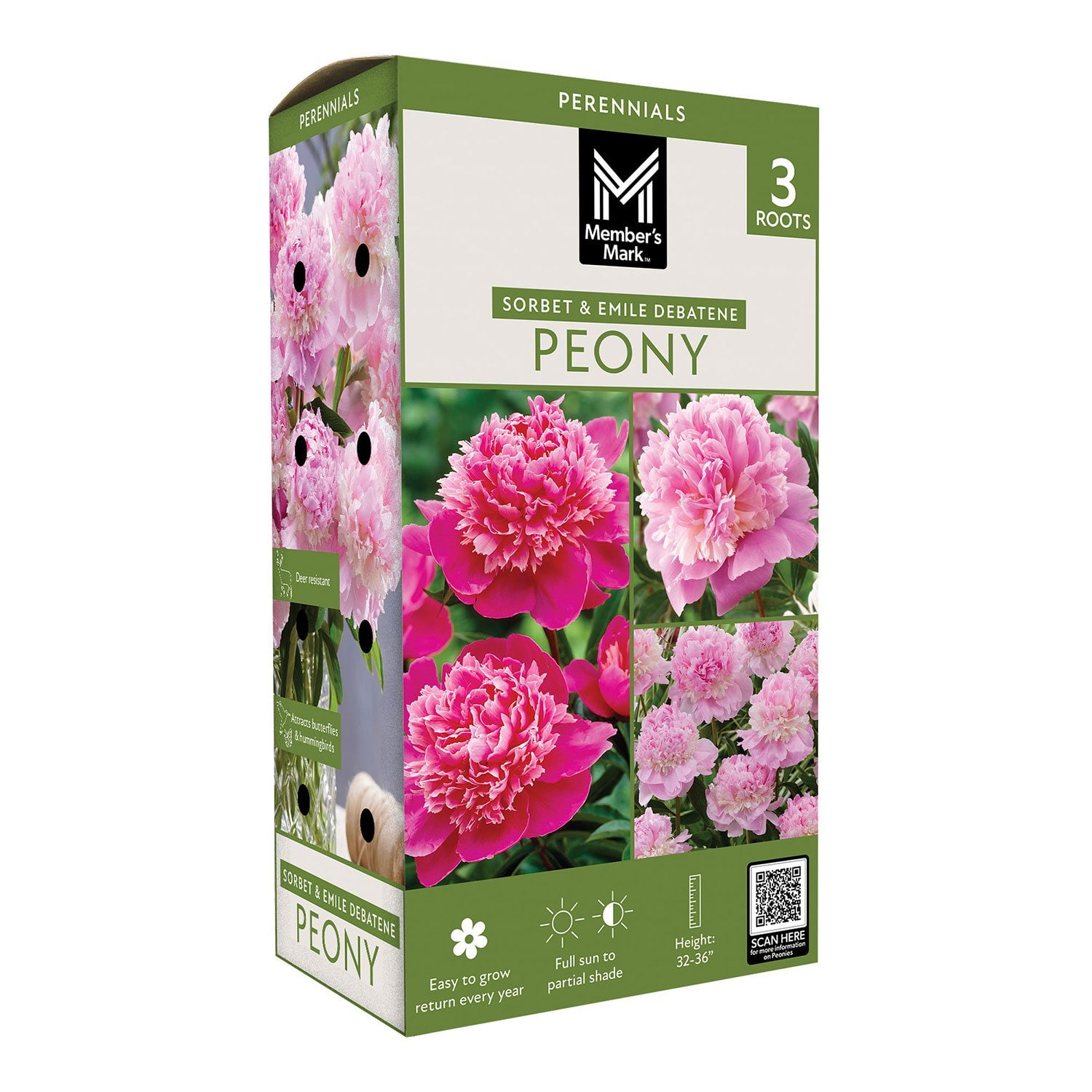 Member's Mark Double Peonies Sorbet & Emile Debatene Dormant Bulbs, 3pk ...