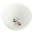 Peanuts 18-Piece Holiday Ceramic Dinnerware Set - Samsclub.com