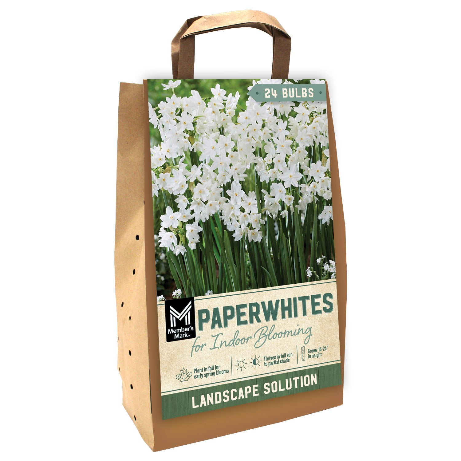 Member's Mark Paperwhite for Indoor Blooming Dormant Bulbs, 24pk ...