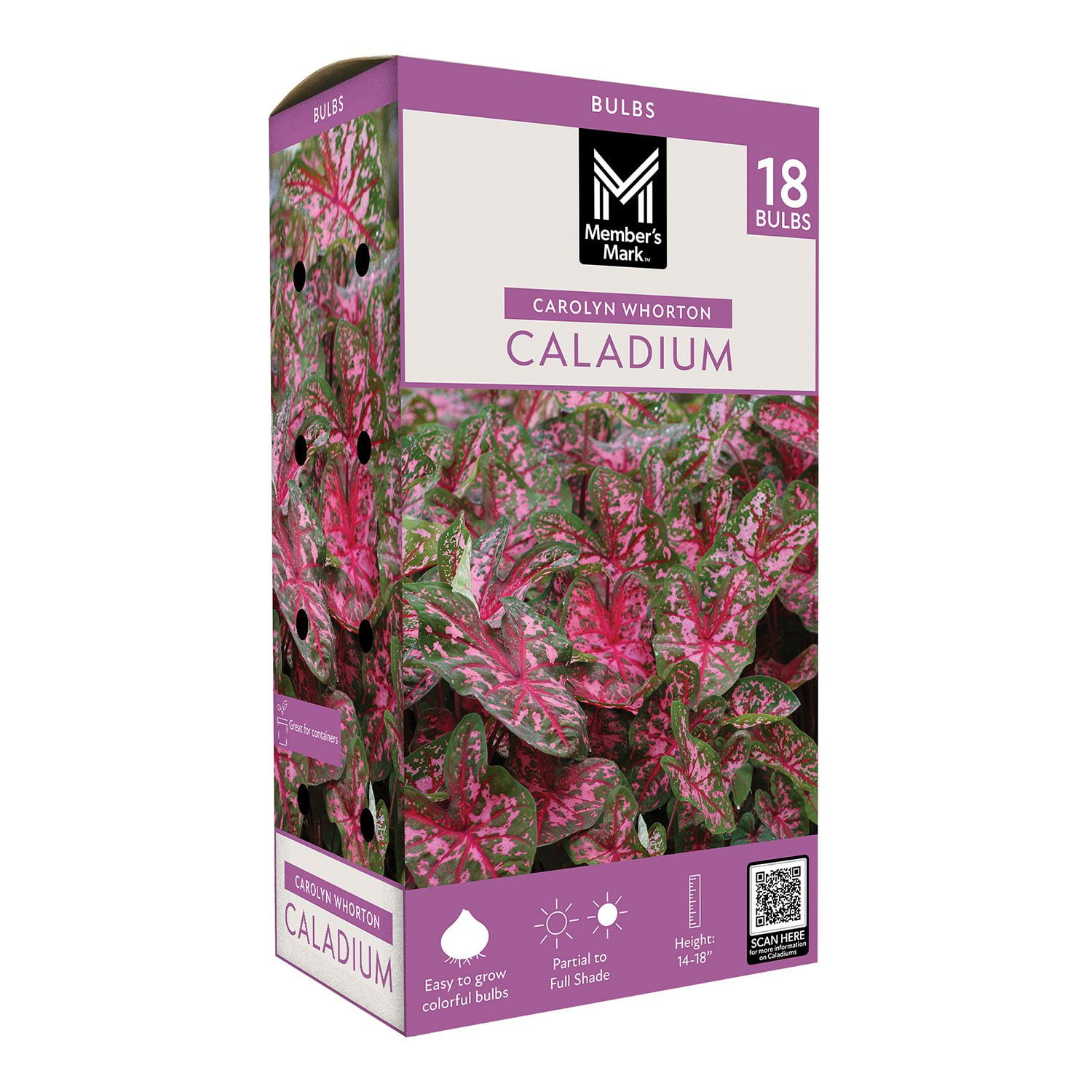 Member's Mark Caladium Carolyn Whorton Dormant Bulbs, 18pk - Samsclub.com