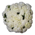 Member's Mark Hydrangeas, choose color and stem count - Samsclub.com