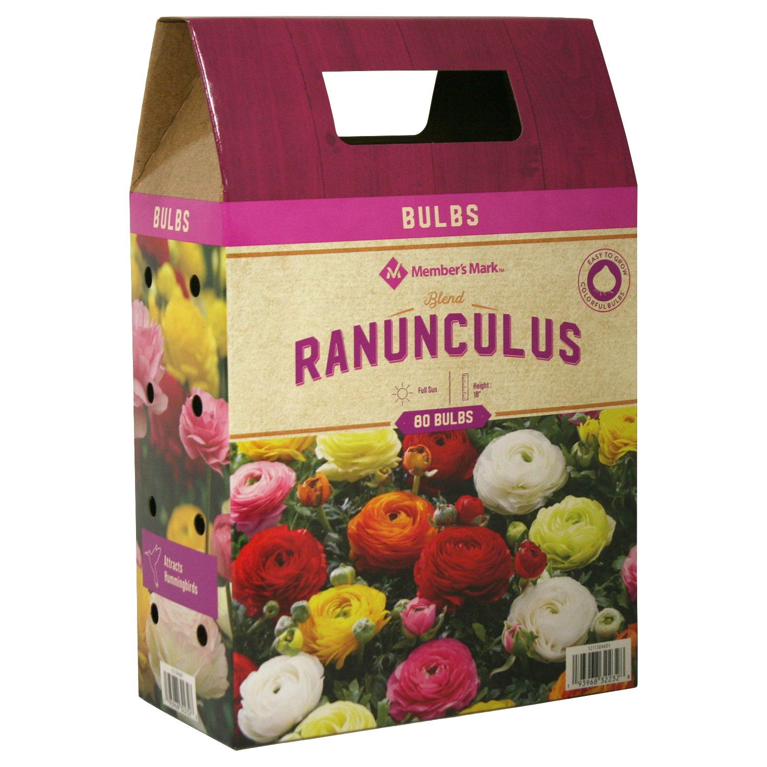 Member's Mark Ranunculus Blend Bulbs - Samsclub.com