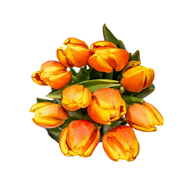 Member's Mark Tulips, 50 stems - Samsclub.com