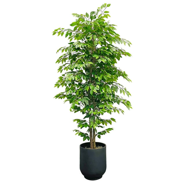 Artificial 7.5' Ficus Tree in Classic Black Ceramic Pot - Samsclub.com