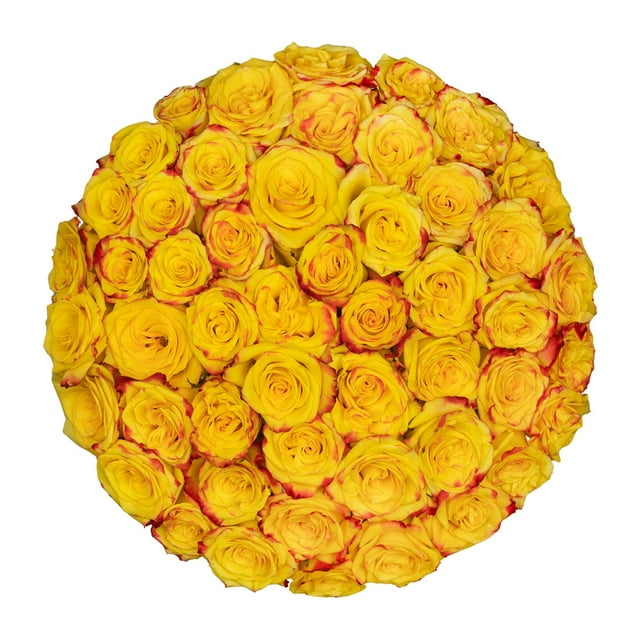 Member's Mark Ecuadorian Premium Roses, choose color variety and stem ...