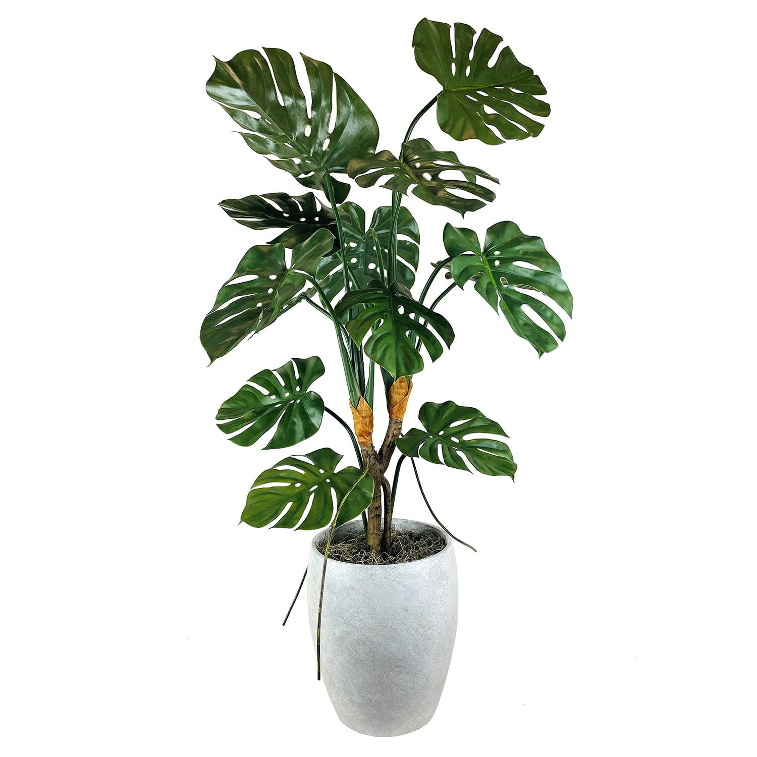 Faux 5' Deluxe Split Leaf Floor Plant in Grey Stone Pot - Samsclub.com