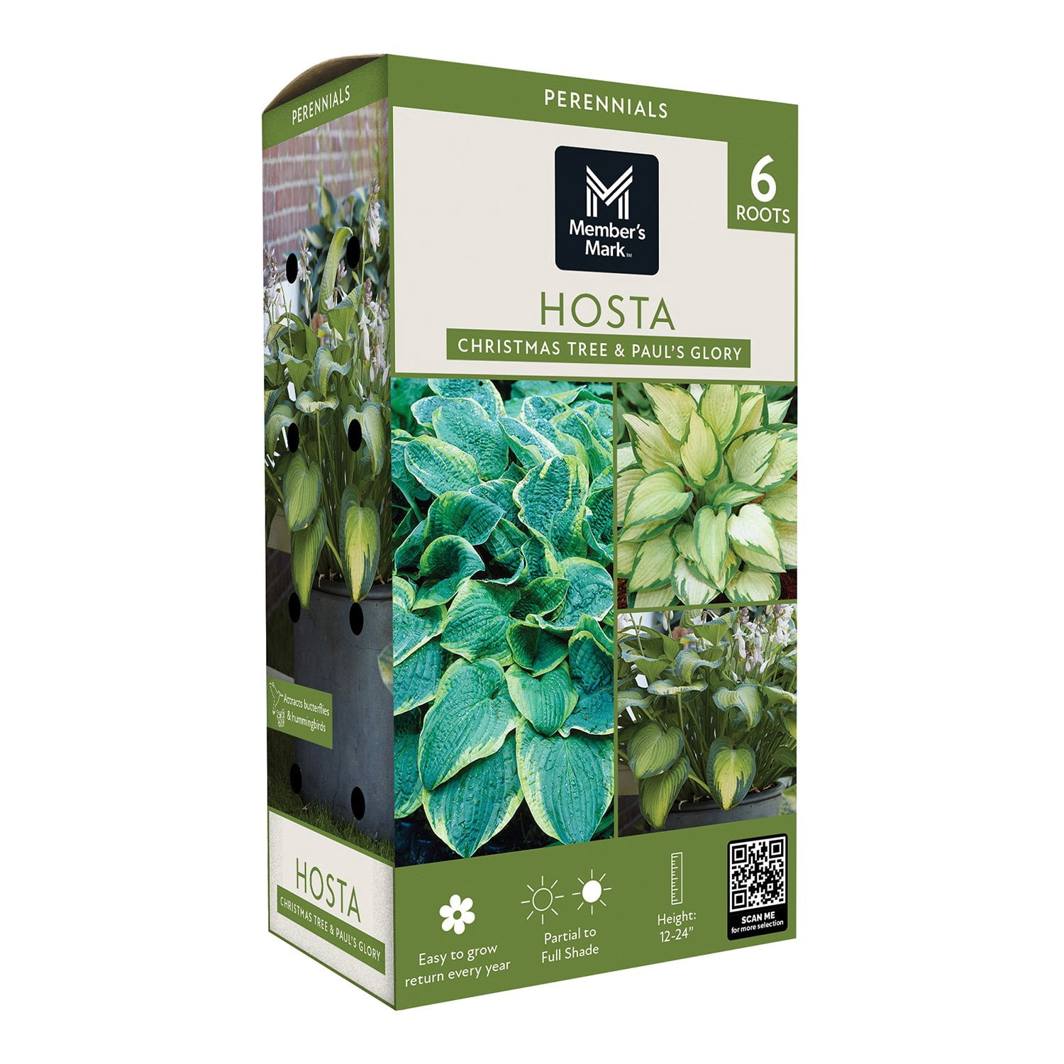 Member's Mark Hosta Combo Christmas Tree & Paul's Glory Dormant Bulbs ...