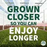 Revol Greens Spring Mix, 16 oz. - Samsclub.com