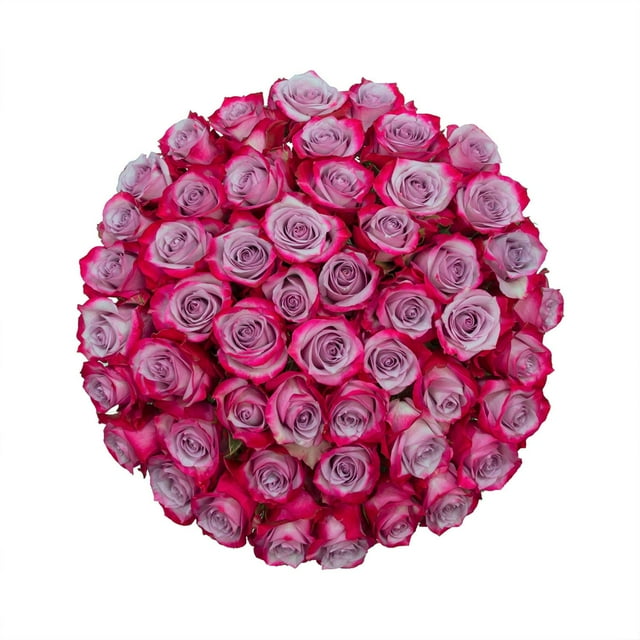 Member's Mark Ecuadorian Premium Roses, choose color variety and stem ...