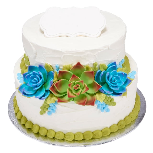 Member's Mark Succulents with Texture Two-Tier Cake - Samsclub.com