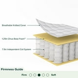 ZINUS Night Therapy 8" Hybrid Mattress - Samsclub.com