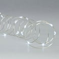 Member's Mark 60ct LED Micro Wire Lights, 19.5' Lighted Length, Set of ...