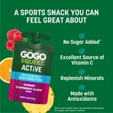GoGo squeeZ Active Fruit Blend with Electrolytes Variety Pack 3.9 oz ...