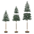 Member's Mark Pre-Lit Alpine Tree Décor, Set of 3 - Samsclub.com