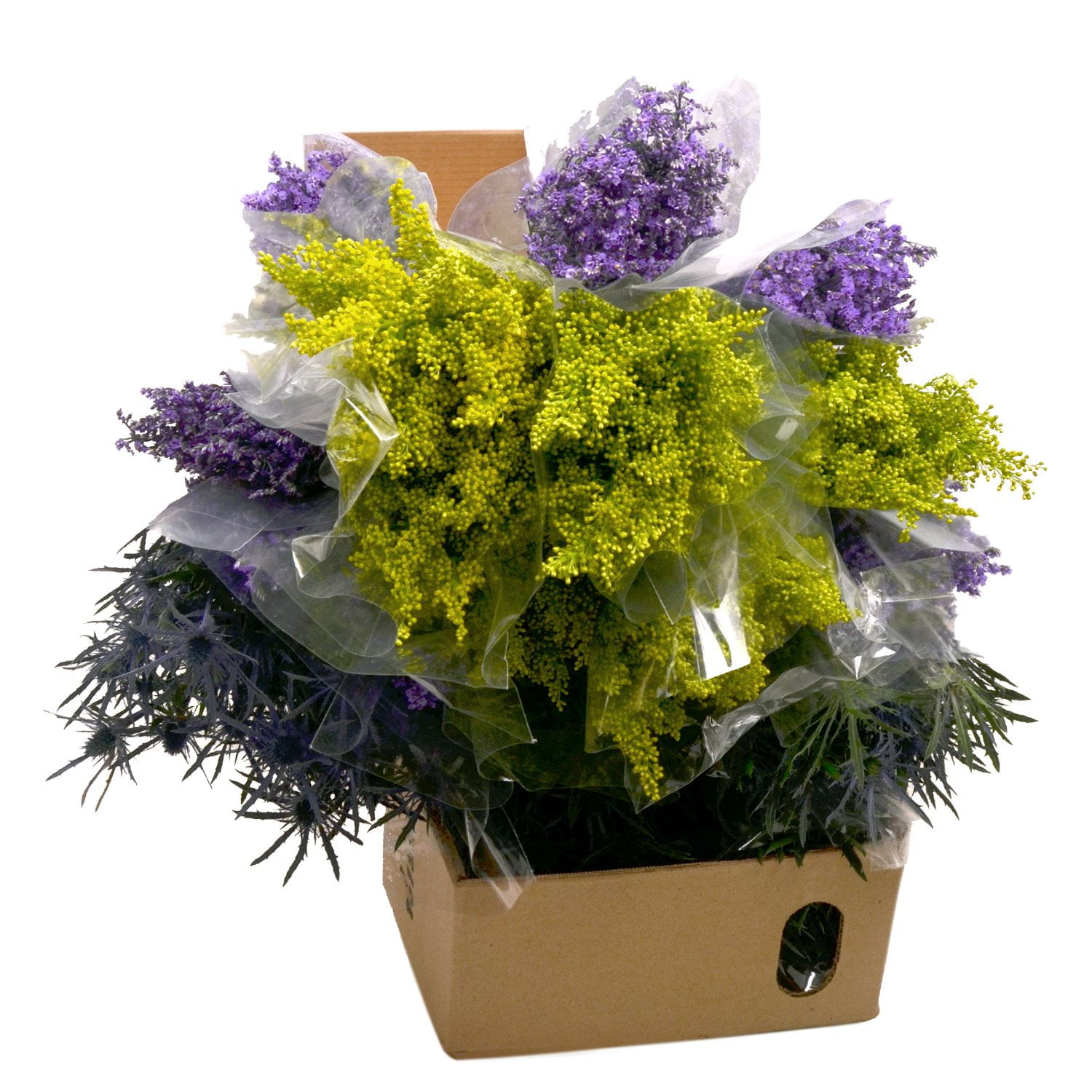 OFFLINE: Mixed Filler Flowers Box (180 stems) - Samsclub.com