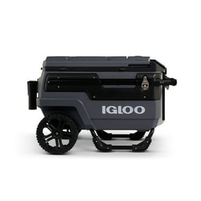 Shop Igloo in Sports & Fitness