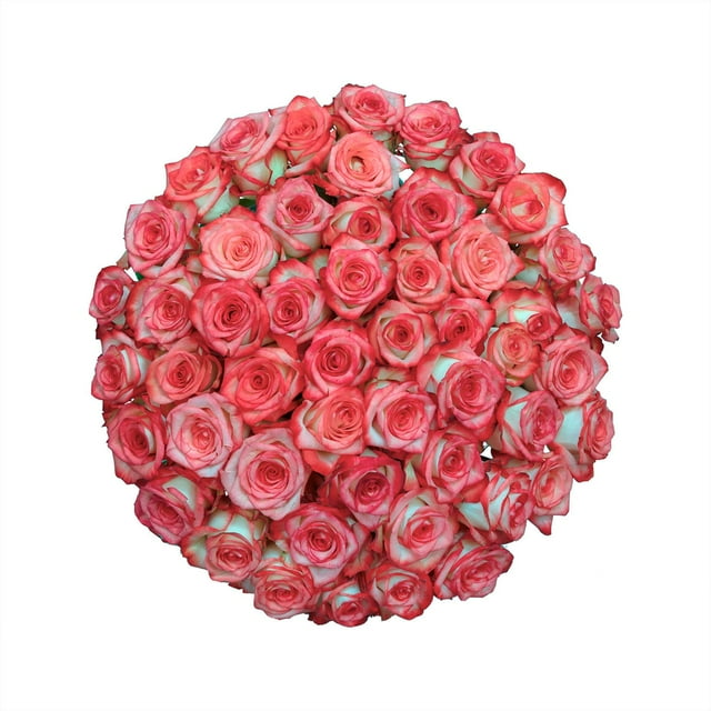 Member's Mark Ecuadorian Premium Roses, choose color variety and stem ...