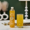 Sparkling Ice Red Variety Pack 17 fl. oz., 24 pk. - Samsclub.com