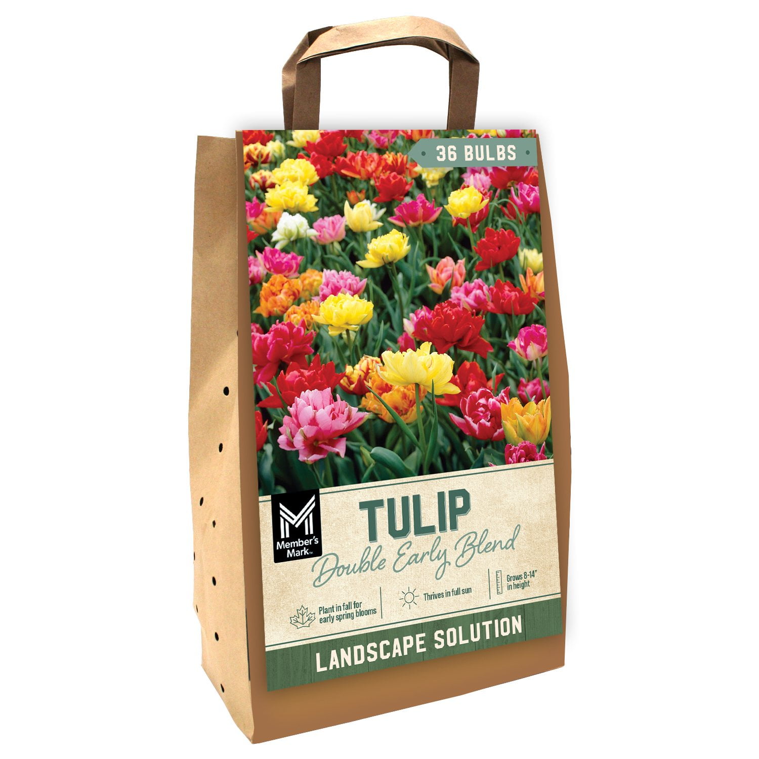 Member's Mark Tulips Double Early Blend Dormant Bulbs, 36pk - Samsclub.com