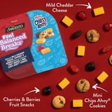 Sargento Fun Balanced Breaks Variety Pack, 8 ct. - Samsclub.com