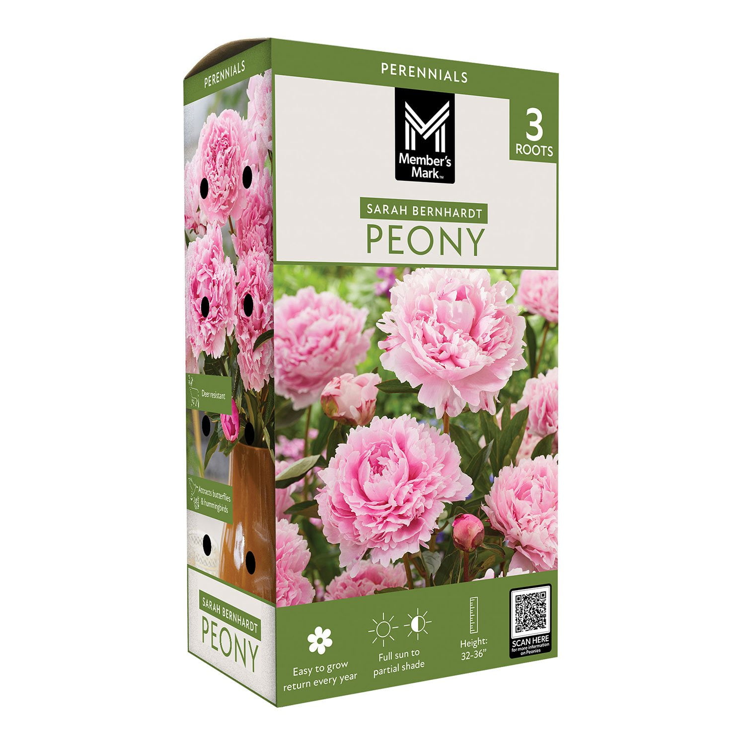Member's Mark Peony Sarah Bernhardt Dormant Bulbs, 3pk - Samsclub.com