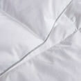 Martha Stewart 240 Thread Count White Goose Feather and Down Comforter ...