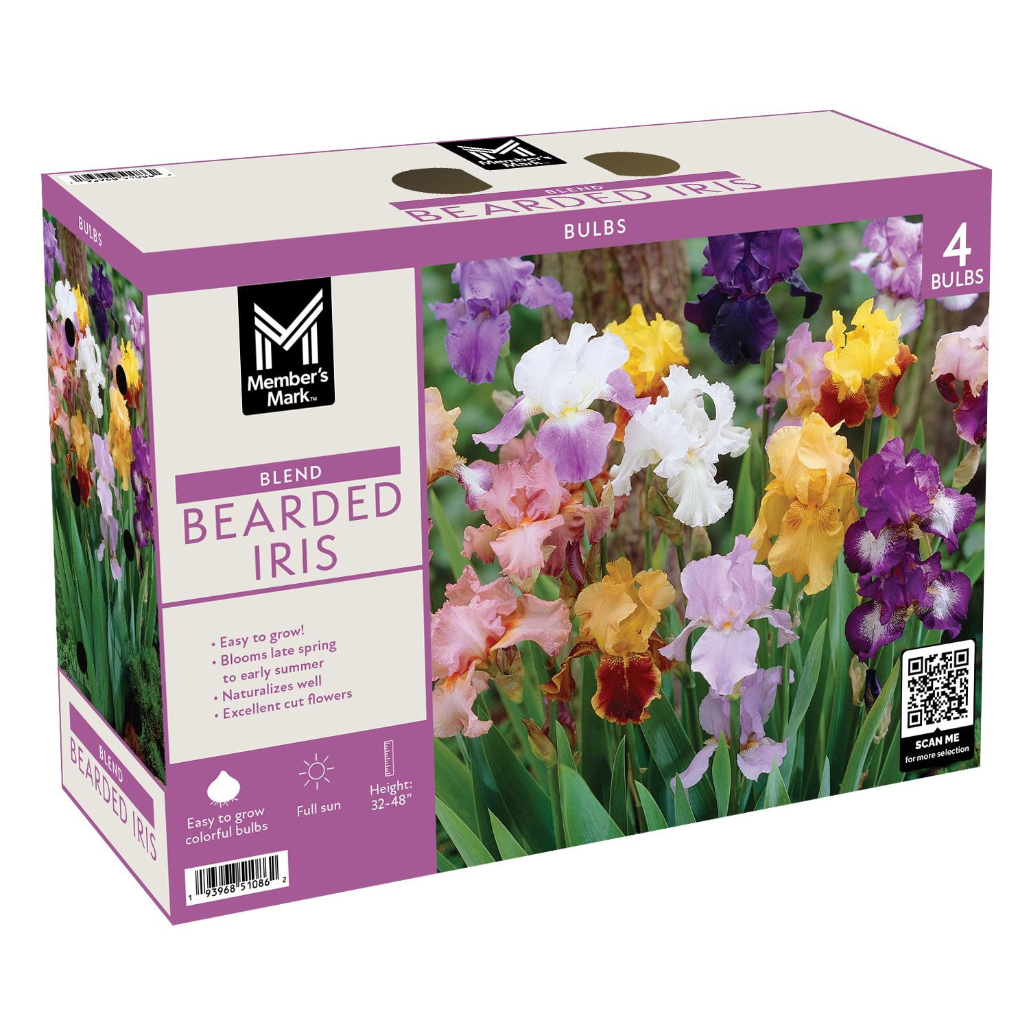 Member's Mark Bearded Iris Mixed Dormant Bulbs, 4pk - Samsclub.com