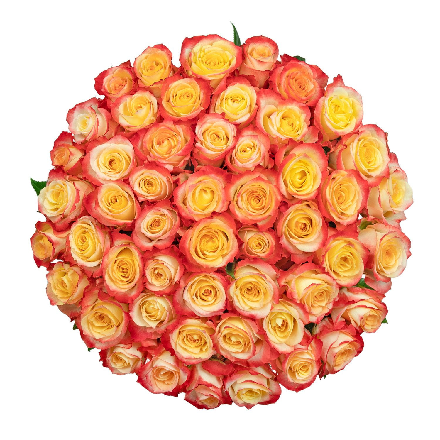Member's Mark Ecuadorian Premium Roses, choose color variety and stem ...