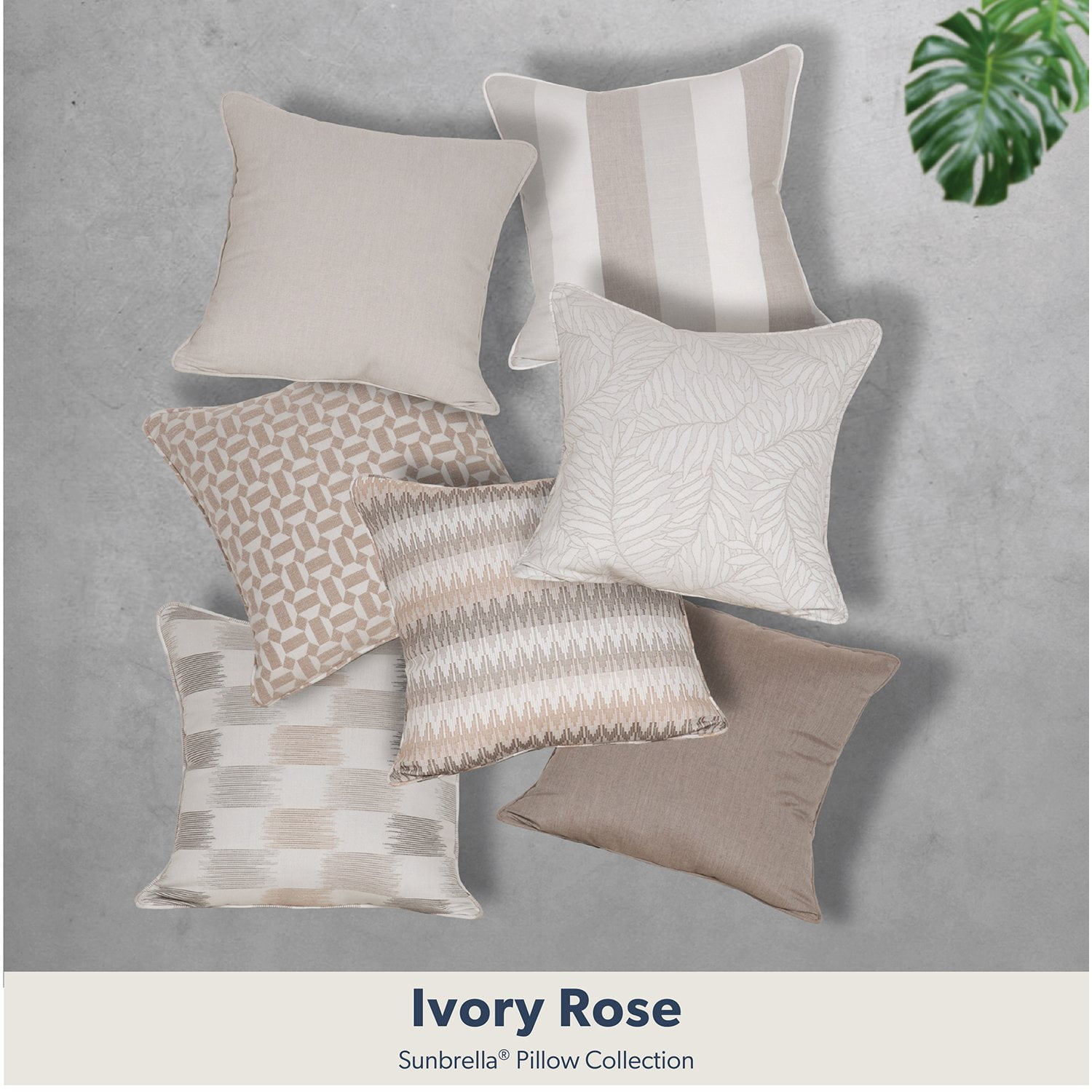 Peak Season Sunbrella 20" x 20" Toss Pillow, Ivory Rose Collection ...