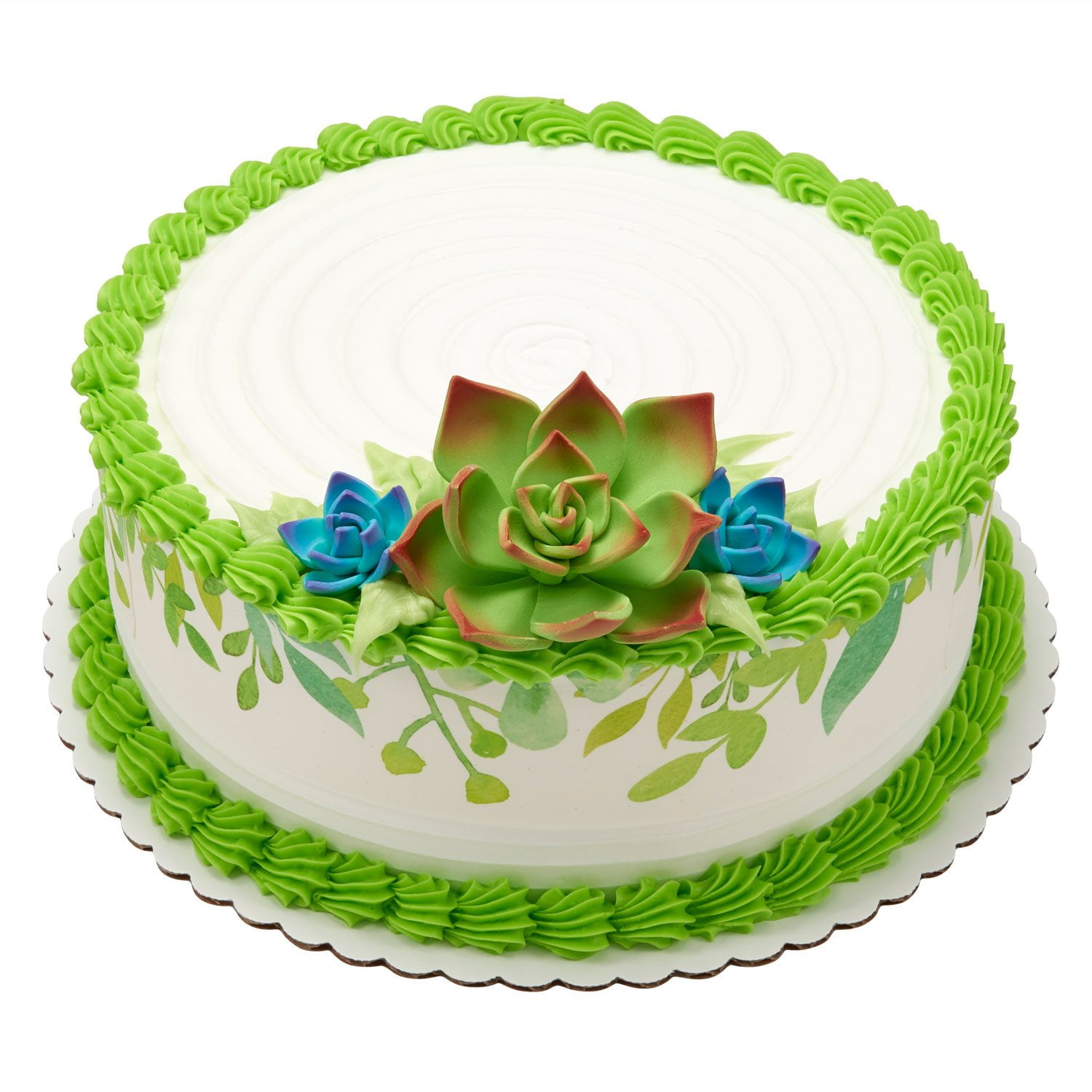 Succulents with Texture 10" Double Layer Cake - Samsclub.com