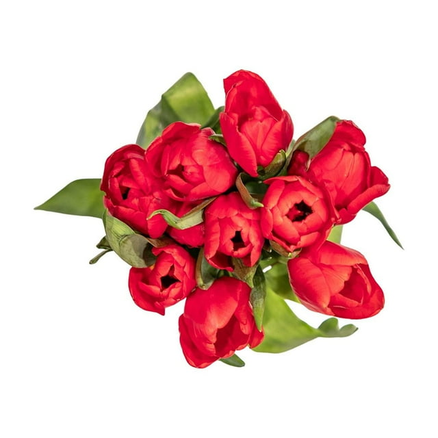 Member's Mark Tulips, 50 stems - Samsclub.com