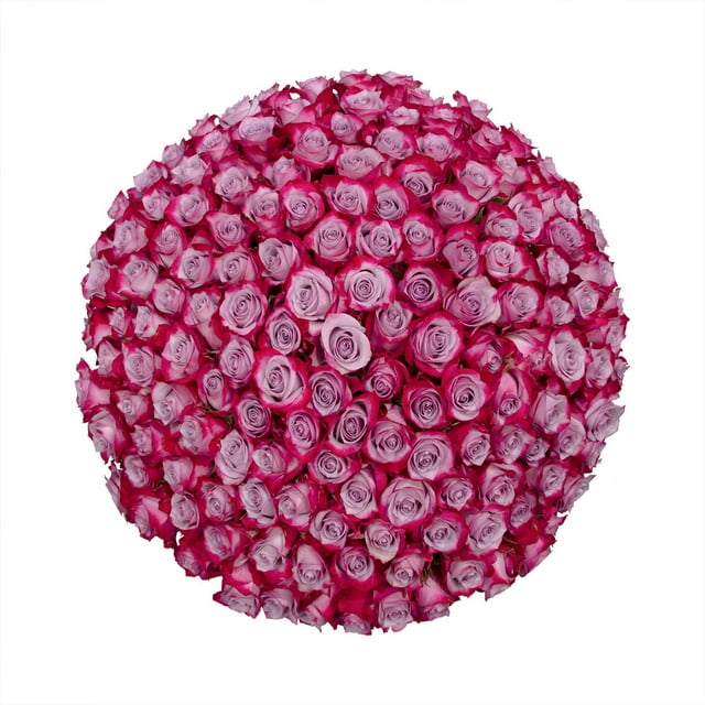 Member's Mark Ecuadorian Premium Roses, choose color variety and stem ...